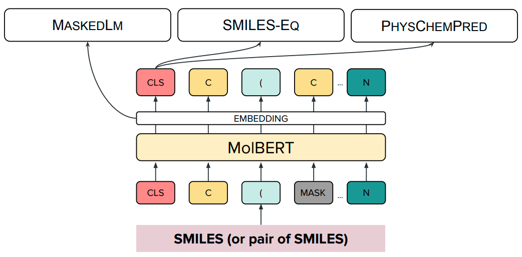 Using Transformers to produce breakthroughs in medicine. by Kemal Erdem