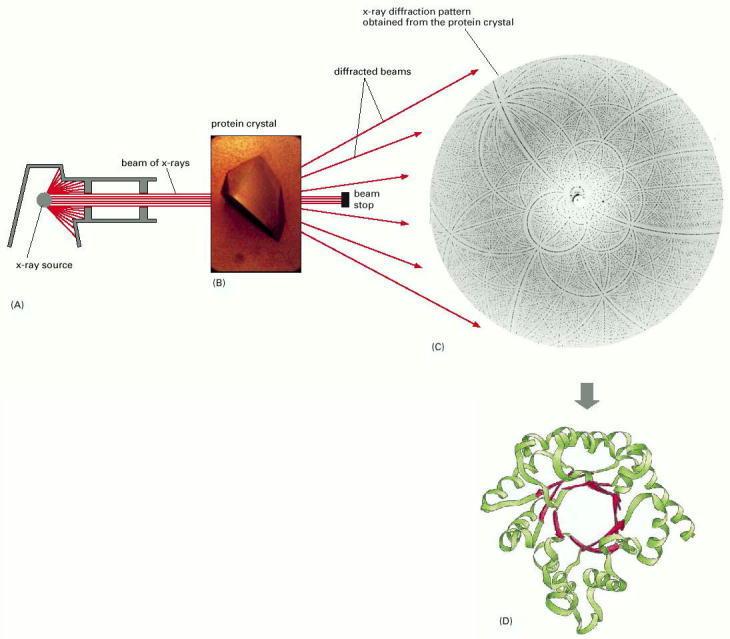 Using Transformers to produce breakthroughs in medicine. by Kemal Erdem